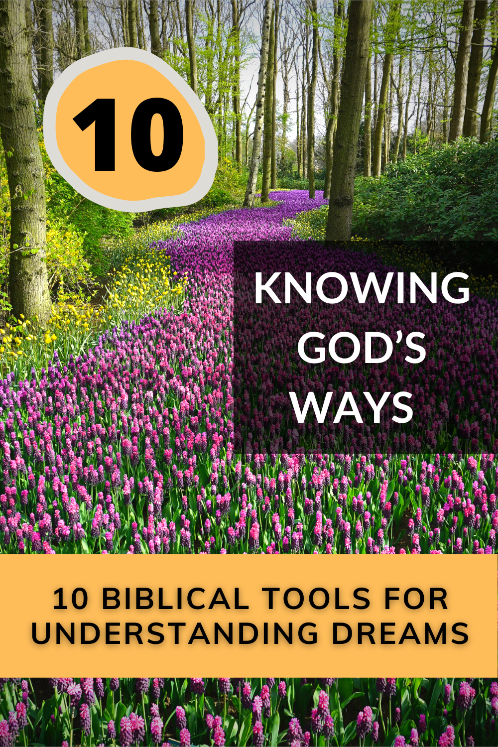 10335EBF-51CB-46E7-88AD-3C17D7B45025 – Heaven’s Dream Messages