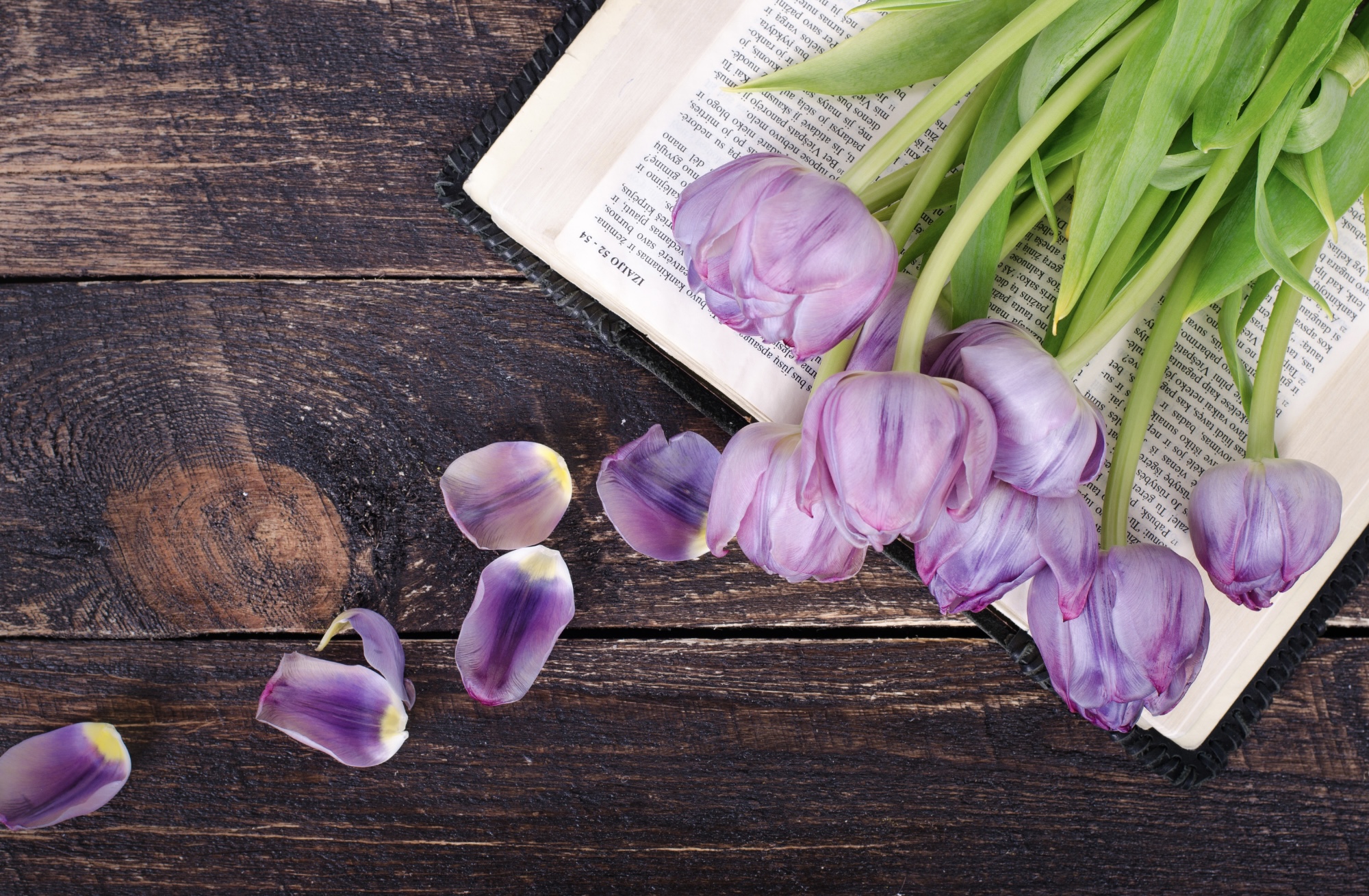 A3D5B97C-CE50-4B6F-8501-BB06EE73A41E – Heaven’s Dream Messages